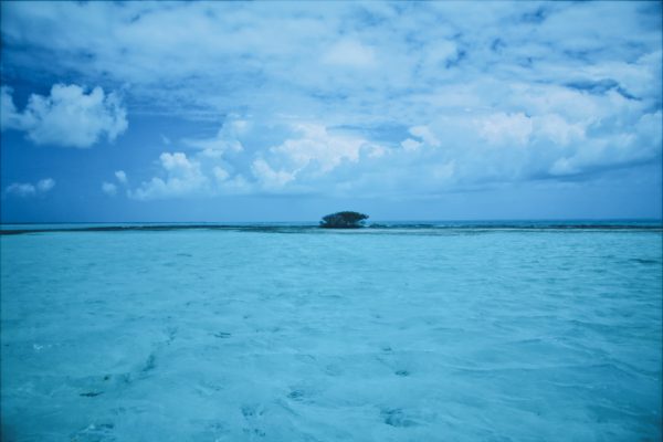 Anegada Conch Island & Flamingo Tour! – Frankly Frankiee