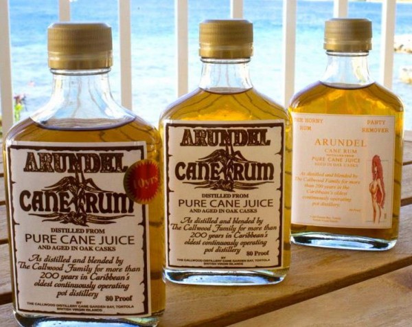 Top (Unique) Things to See and Do in the BVI Post Corona Pandemic. A ...
